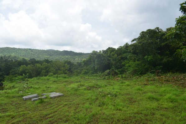 Bliss Abode in Dodamarg, Sindhudurg by EWISSEN INFRASTRUCTURE ...