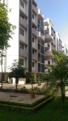 Maple Tree in Airport Road, Bhopal by Anmol Construction Maple Tree ...