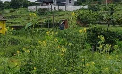 Verna, Goa | Overview, Property Rate, Projects, Map & Localities