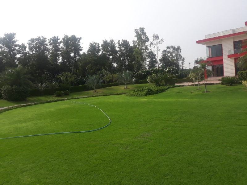 1 RK Farm House 1 Acre for Sale in Sohna, Gurgaon (REI1155570)