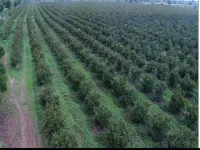 BHK Agricultural/Farm Land for Sale in Gujarat - 2371+ Listing